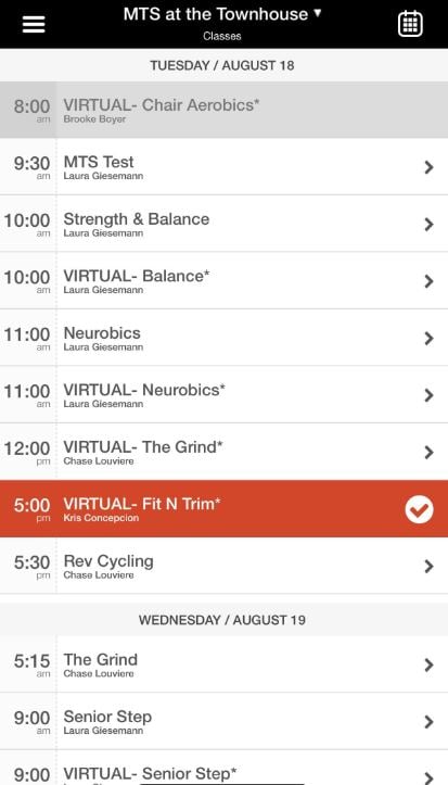 MTS Virtual Wellness Classes | MTS Physical Therapy and Wellness